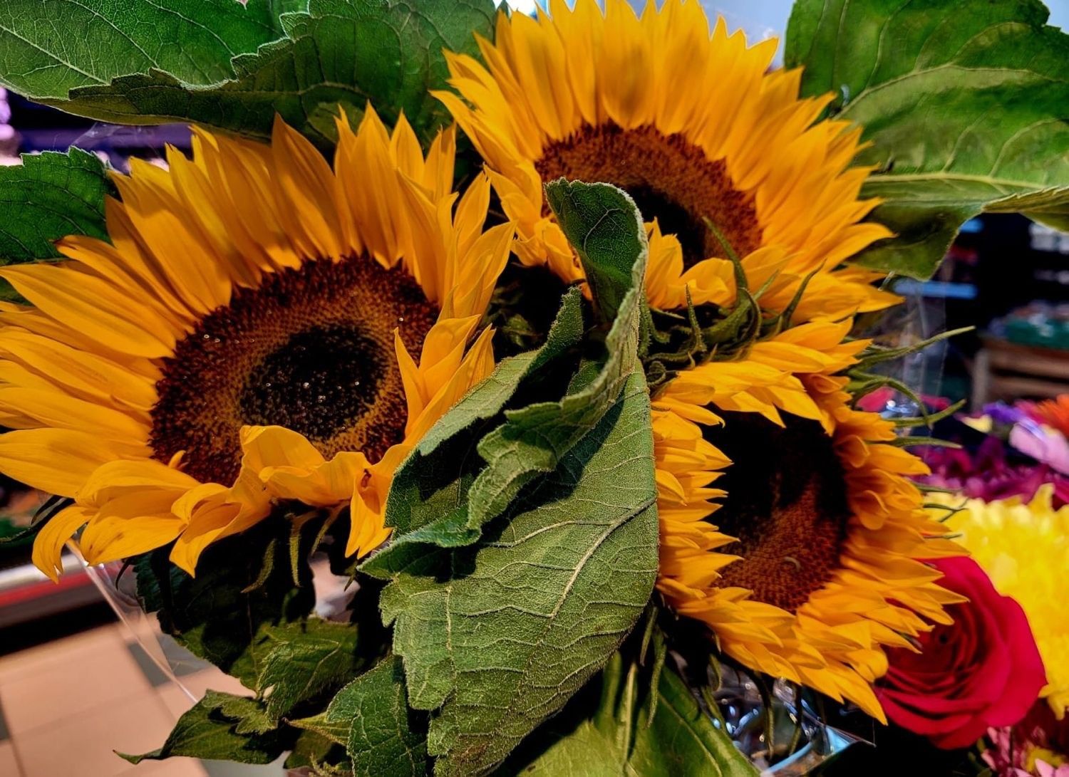 Proudfoot Group reports spike in sales following switch to Co-op’s ...